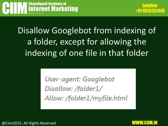 Robots txt Format Examples | PPTX