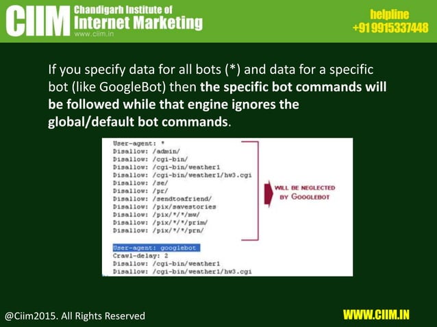 Robots txt Format Examples | PPTX