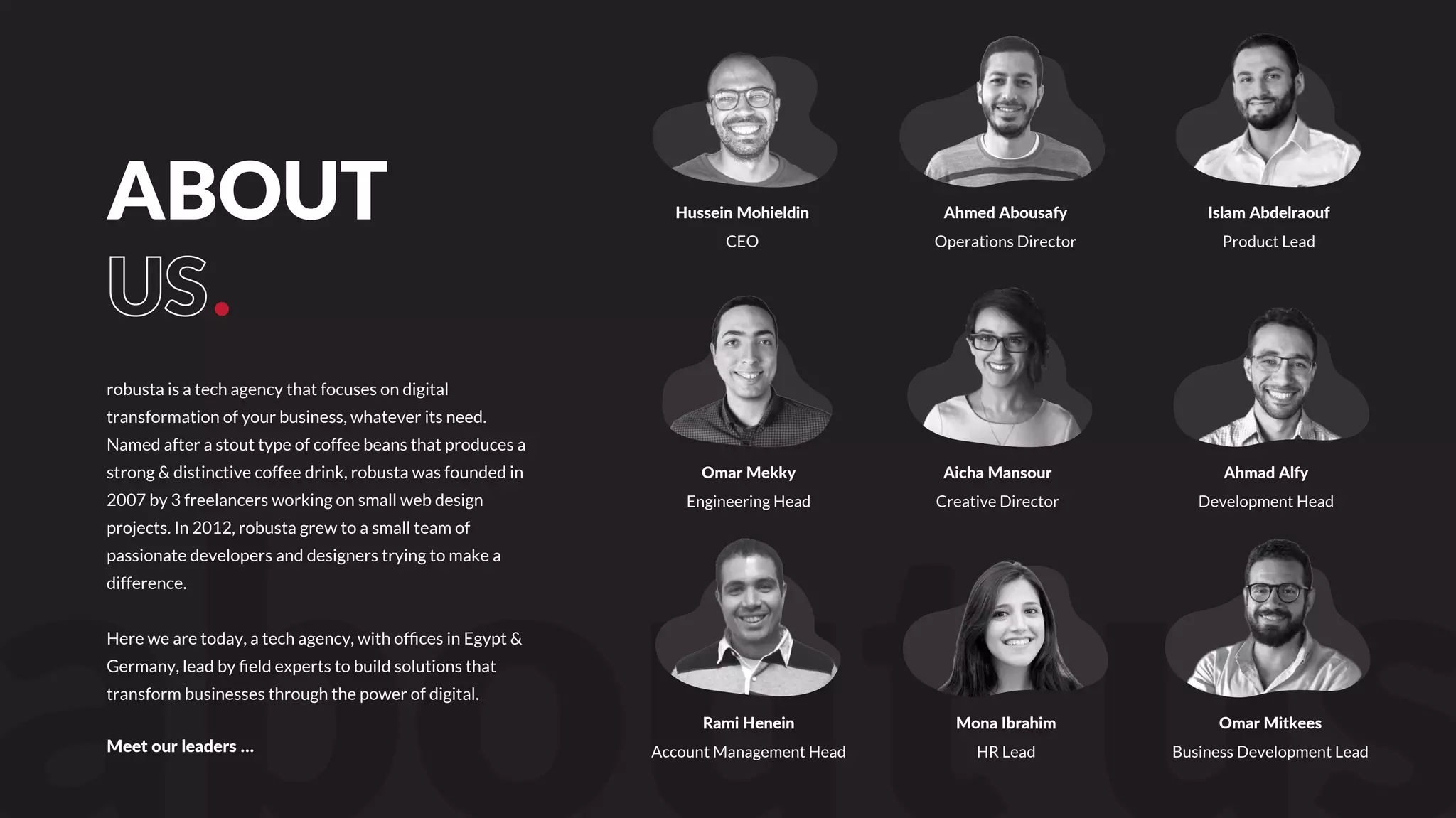 robusta Company Profile 2019 | PDF