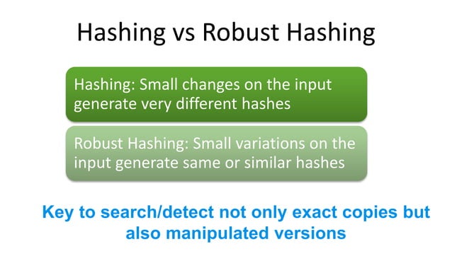 Robust Hashing for software models | PPTX