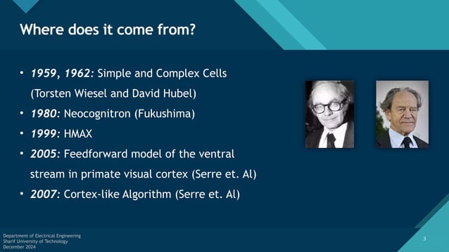 Robust Object Recognition With Cortex-Like Mechanisms | PPTX