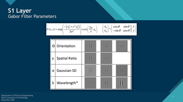 Robust Object Recognition With Cortex-Like Mechanisms | PPTX