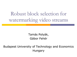 Robust Watermarking of Video Streams | PPT
