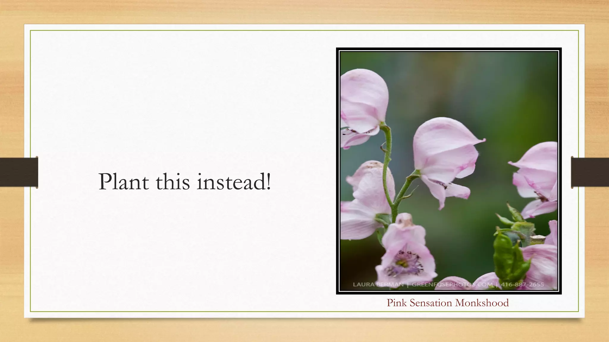 Robyn Sayer - Naturescaping - Restoration Ecology presentation | PPT
