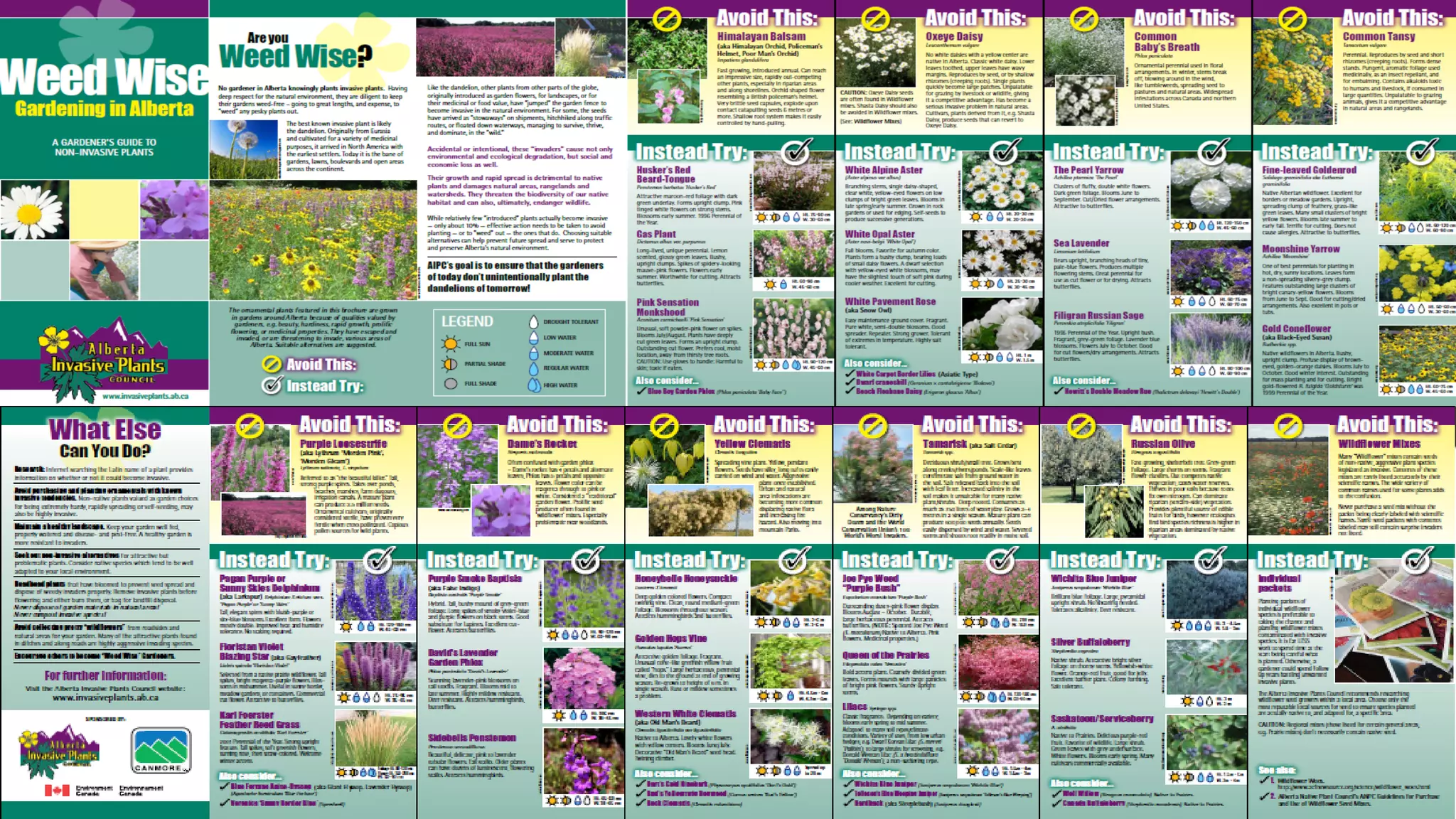 Robyn Sayer - Naturescaping - Restoration Ecology presentation | PPT