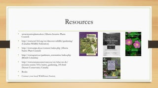 Robyn Sayer - Naturescaping - Restoration Ecology presentation | PPT