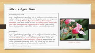 Robyn Sayer - Naturescaping - Restoration Ecology presentation | PPT
