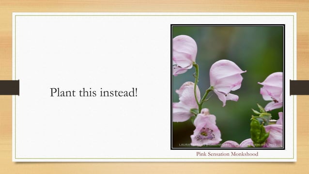 Robyn Sayer - Naturescaping - Restoration Ecology presentation | PPT