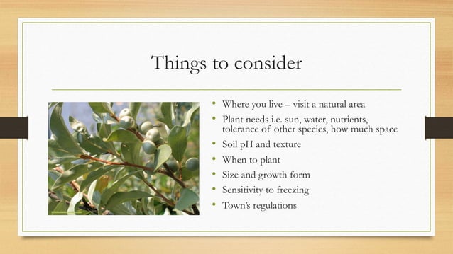 Robyn Sayer - Naturescaping - Restoration Ecology presentation | PPT