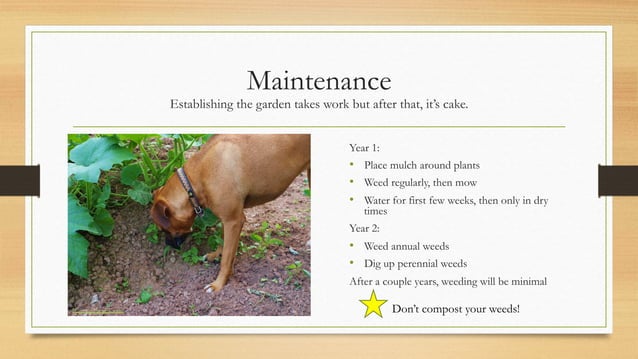 Robyn Sayer - Naturescaping - Restoration Ecology presentation | PPT