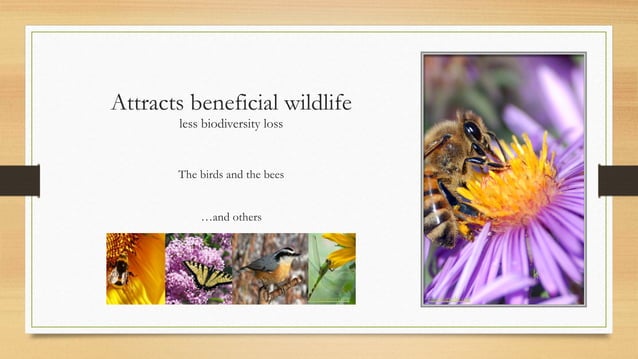Robyn Sayer - Naturescaping - Restoration Ecology presentation | PPT