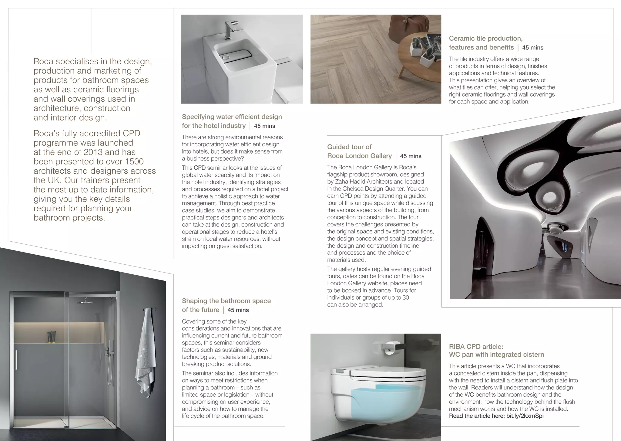 Roca cpd flyer | PDF
