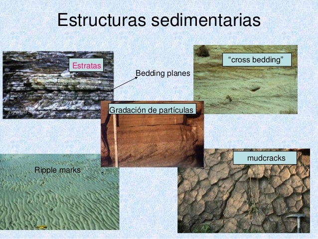 ROCAS SEDIMENTARIAS