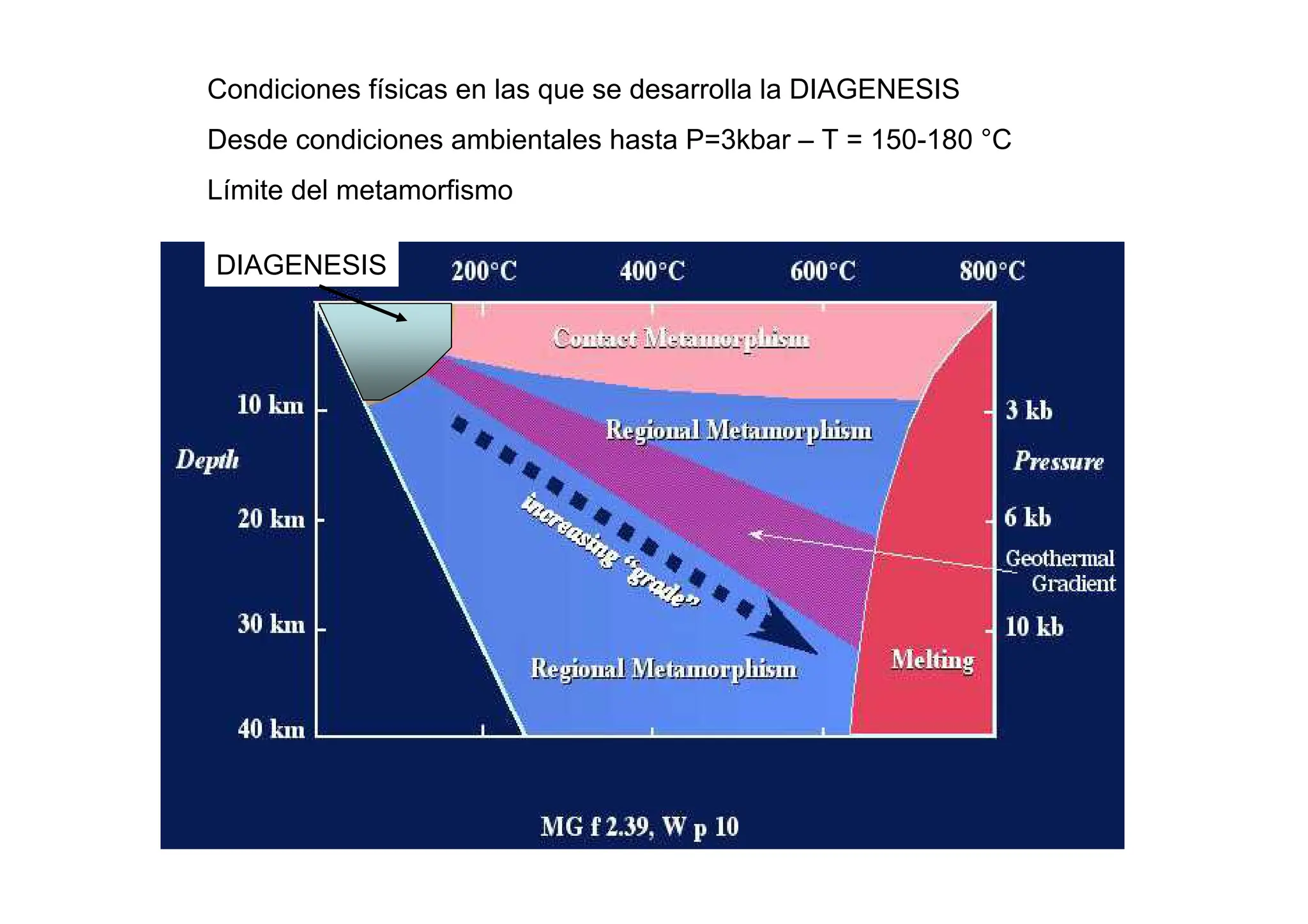 Geologia y suelos rocas_sedimentarias.pdf