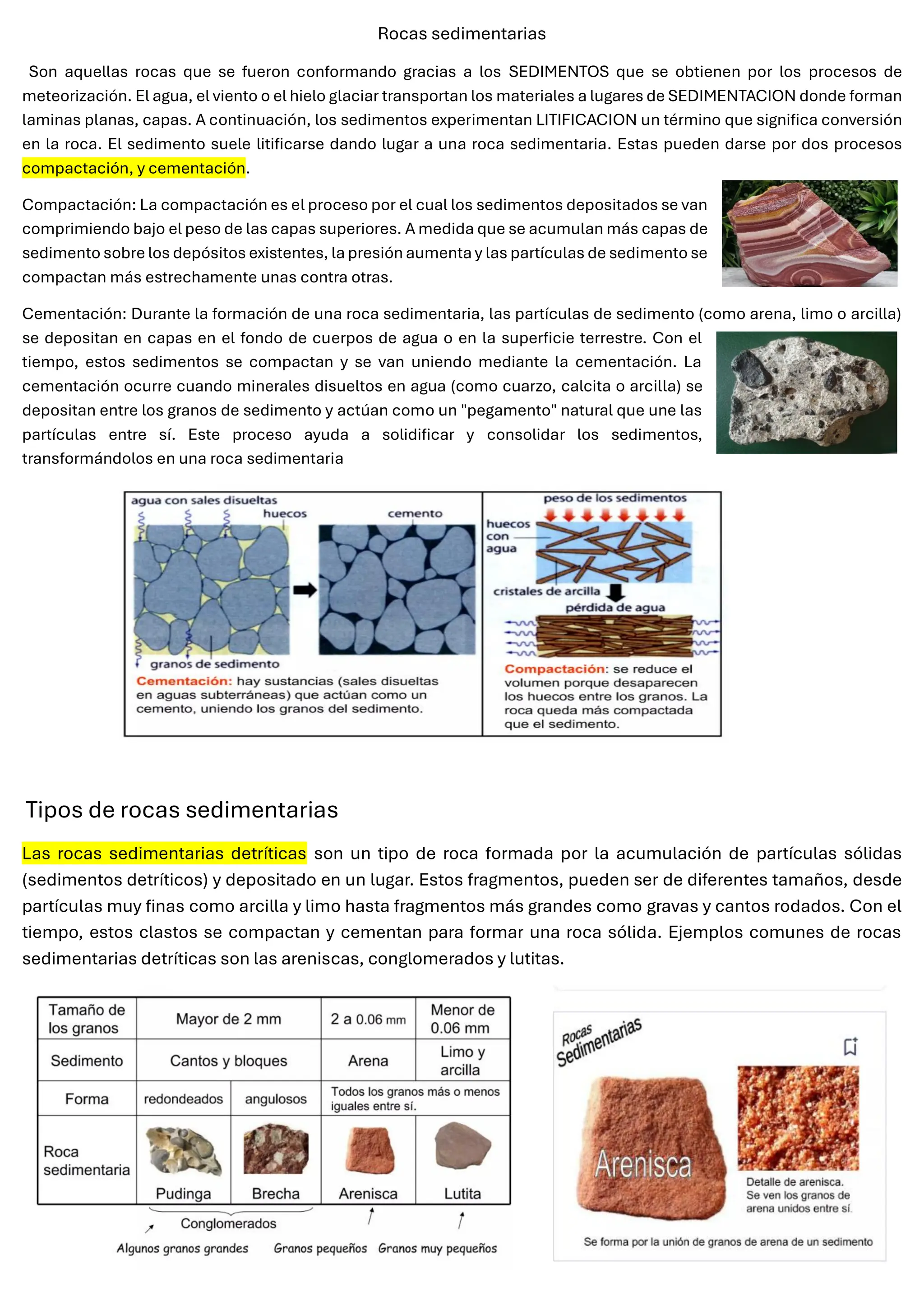 Rocas sedimentarias y metamórficas. pdf. | PDF
