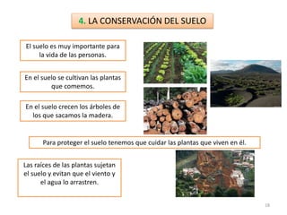 Rocas y minerales | PPTX