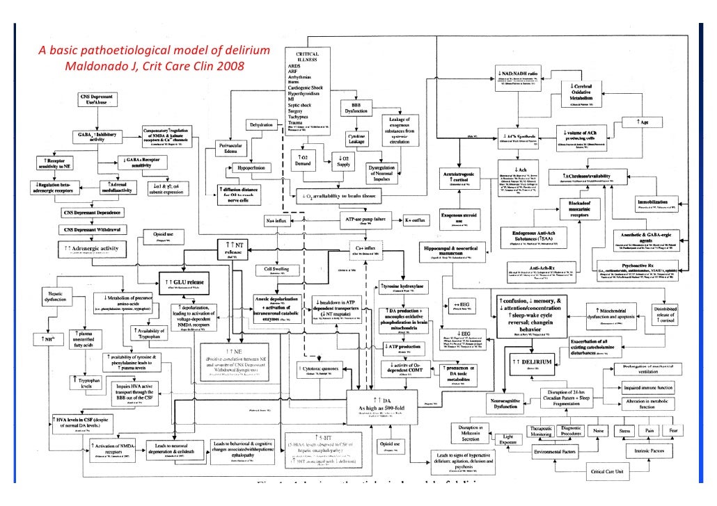 Delirium in ICU Characteristic, Diagnosis and Prevention