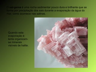 Rochas quimiogenicas e_biogenicas | PPT