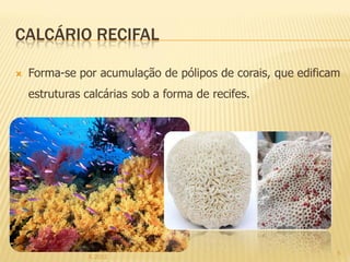 Rochas sedimentares classificação biogénicas | PDF