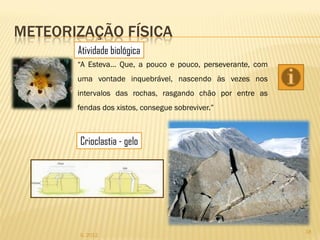 Rochas sedimentares minerais, formação e classificação | PDF