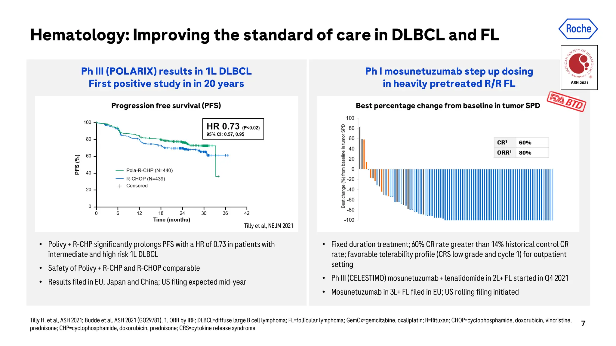 roche-presentation.pdf