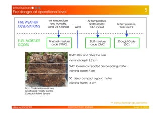 Fire/atmosphere interactions | PPTX | Weather | Science
