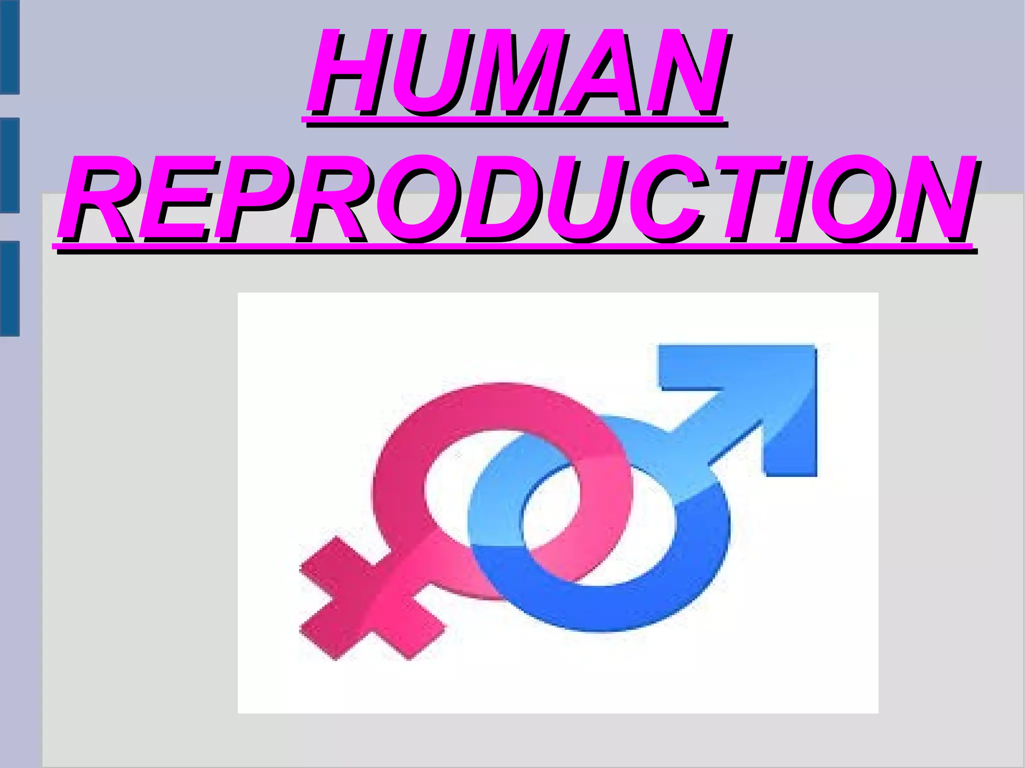 Human reproduction | PPT