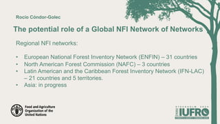 Collaborative Solutions for Reliable Forest Data: The potential role of ...