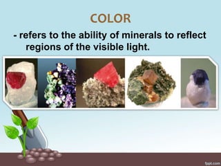 Rock forming minerals | PPTX