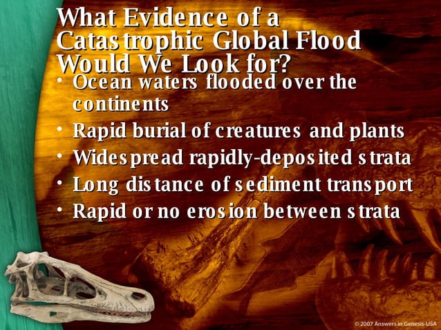 Rock Strata, Fossils And The Flood | PPT
