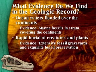 Rock Strata, Fossils And The Flood | PPT