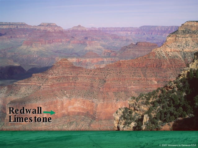 Rock Strata, Fossils And The Flood | PPT