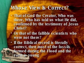 Rock Strata, Fossils And The Flood | PPT