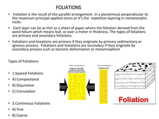 Foliation