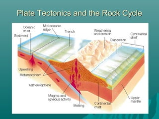 Rock Cycle/EPCC/LM3 | PPT