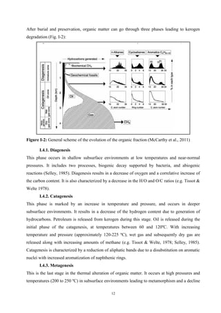 Use of Rock-Eval pyrolysis | DOC
