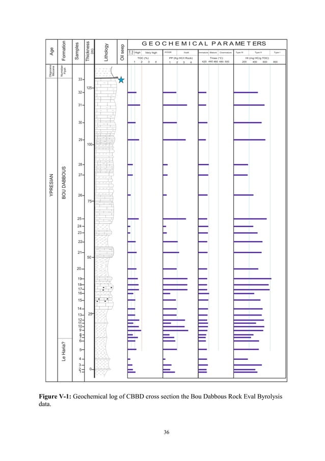 Use of Rock-Eval pyrolysis | DOC | Chemistry | Science