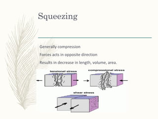 rock mechanics | PPT