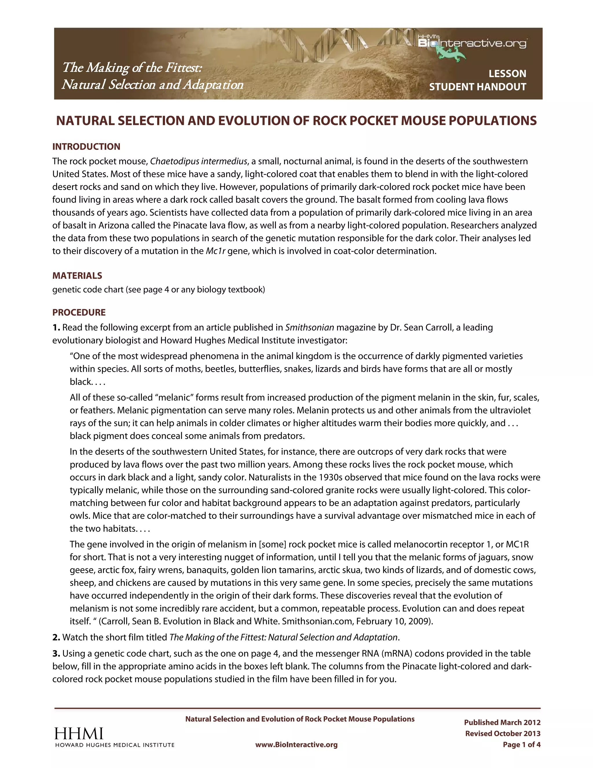 Rock mouse natural selection doc | PDF