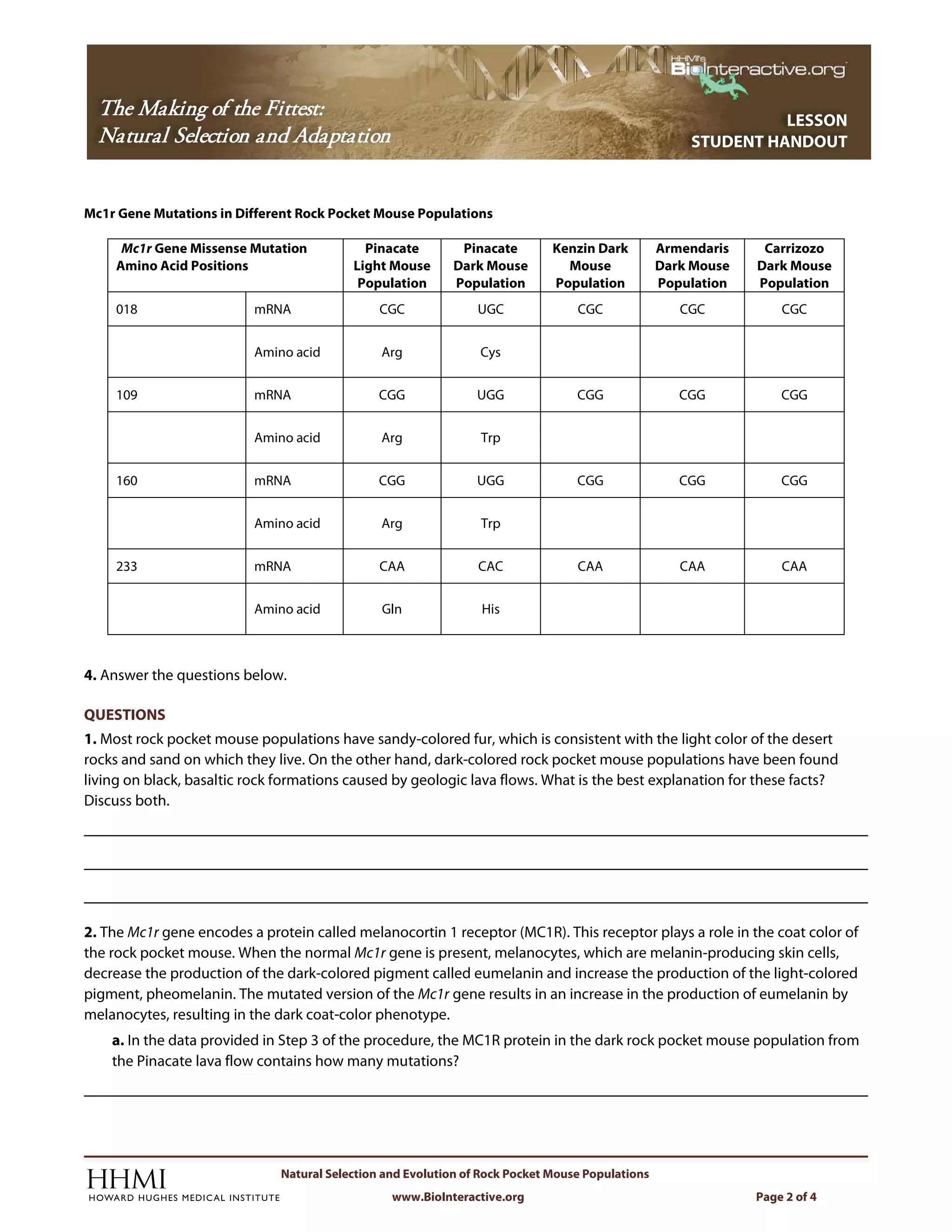Rock mouse natural selection doc | PDF