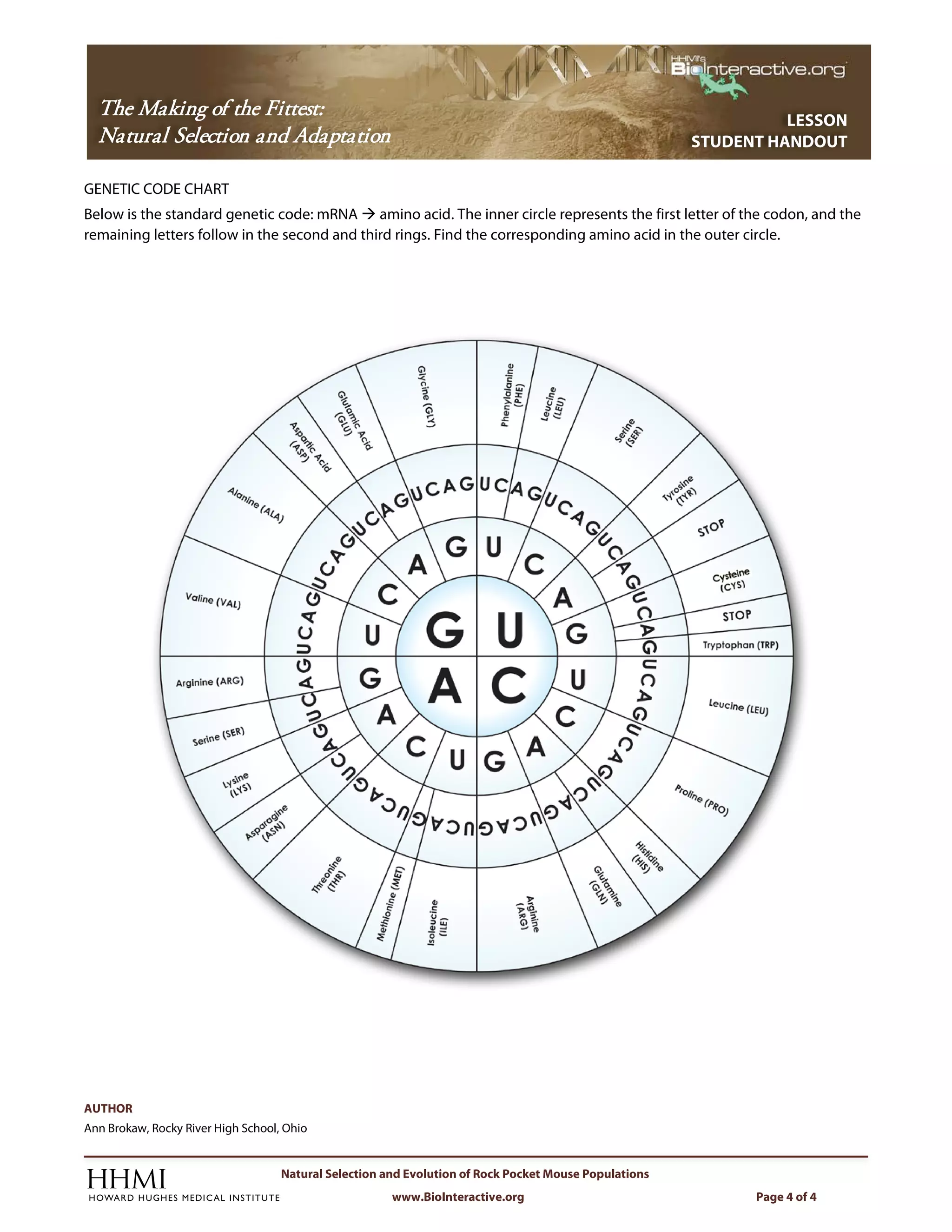 Rock mouse natural selection doc | PDF