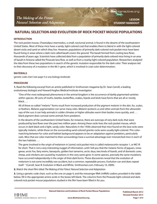 Rock mouse natural selection doc | PDF