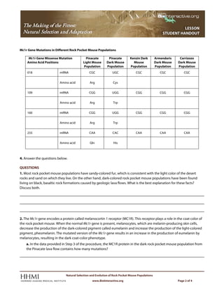 Rock mouse natural selection doc | PDF