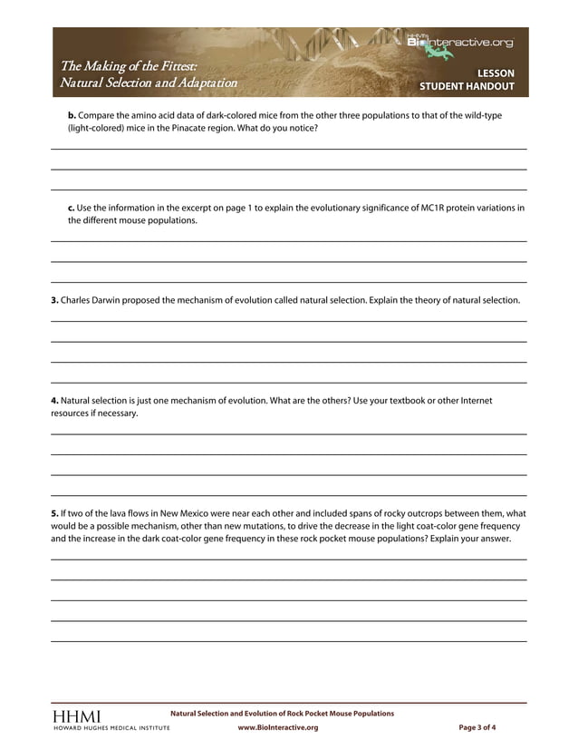 Rock mouse natural selection doc | PDF