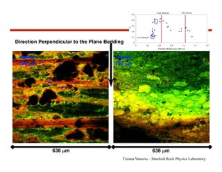 Rock Physics: Slides | PDF