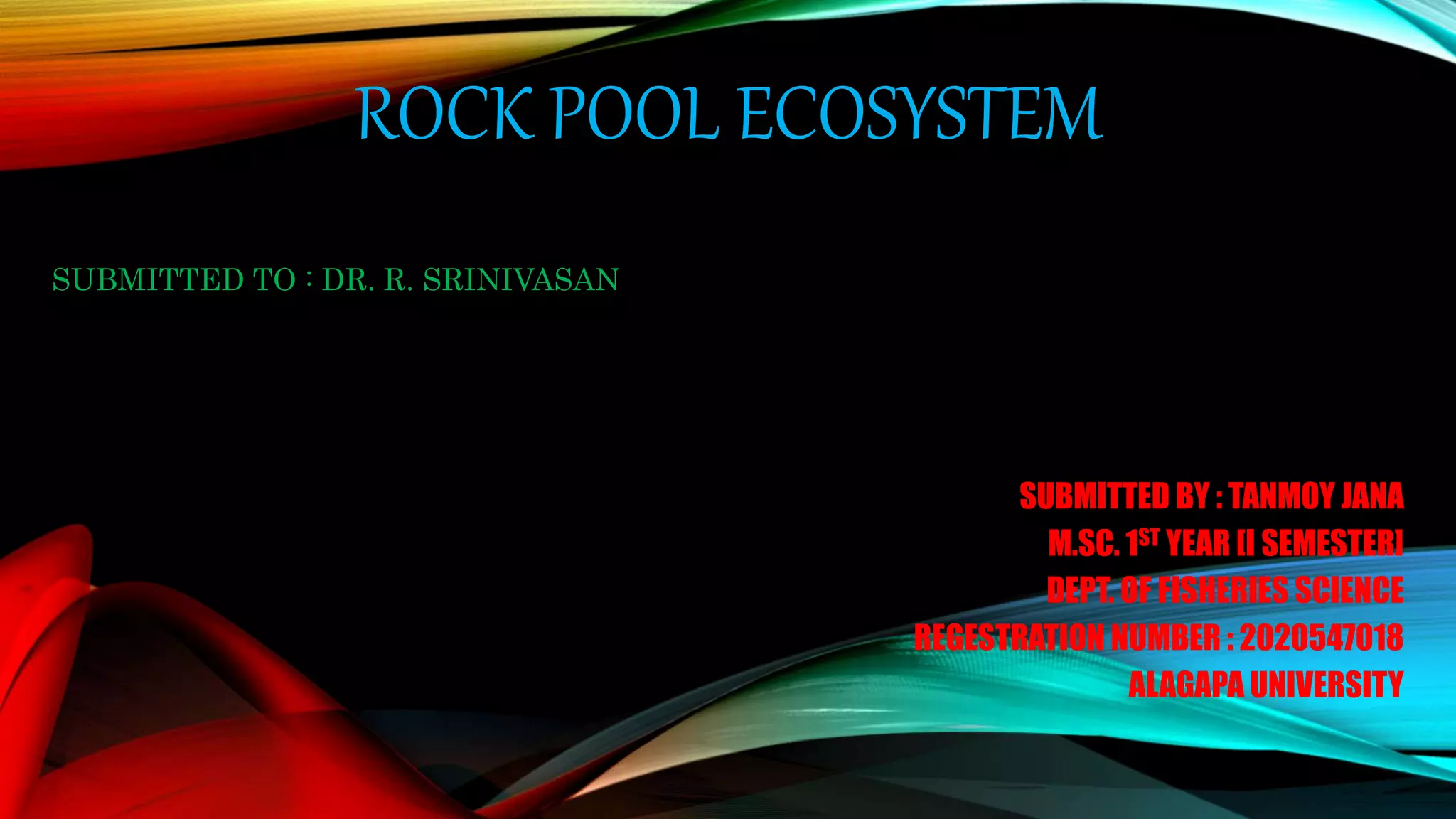 Rock pool ecosystem | PPTX