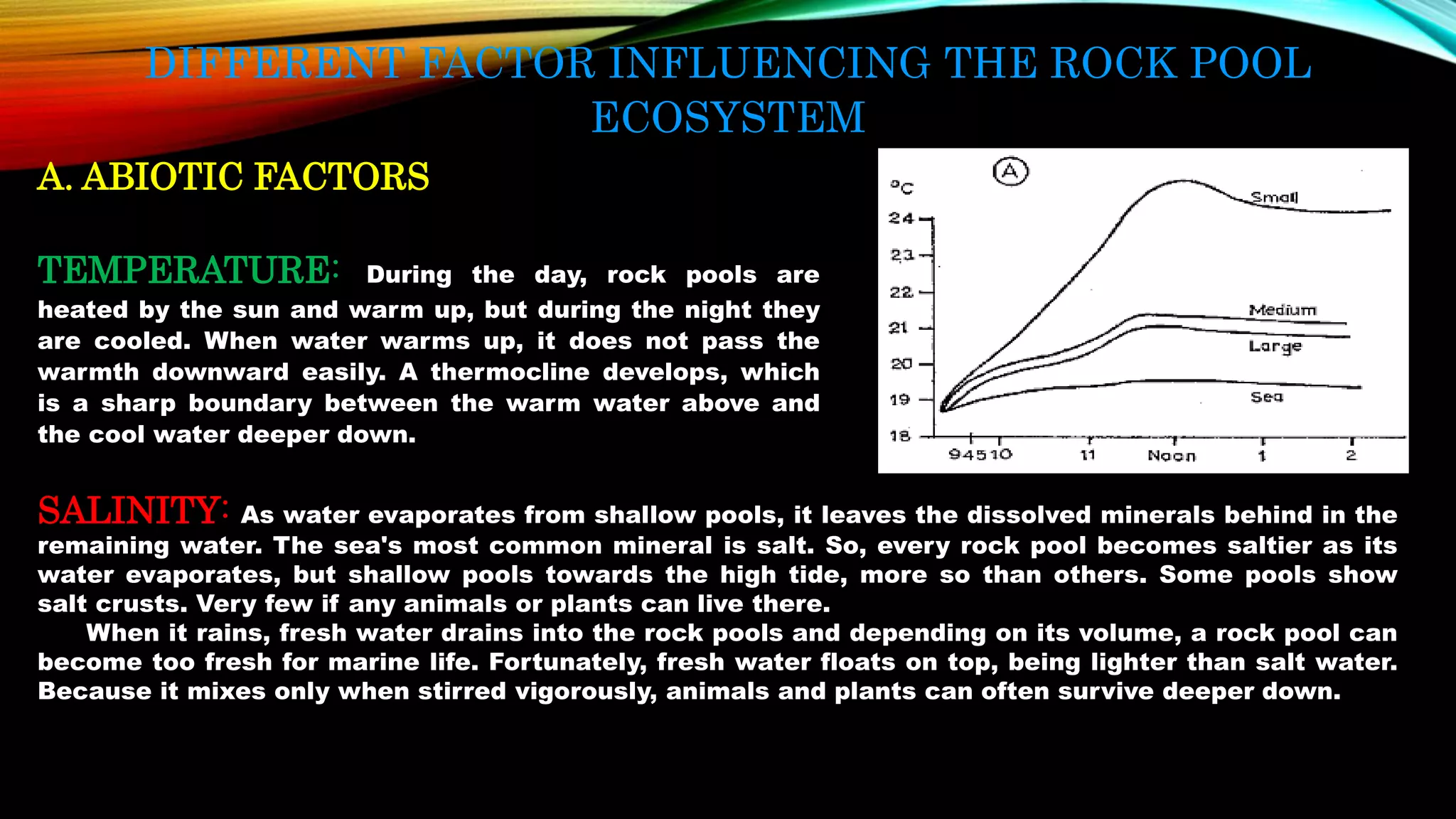 Rock pool ecosystem | PPTX
