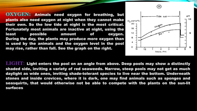 Rock pool ecosystem | PPTX
