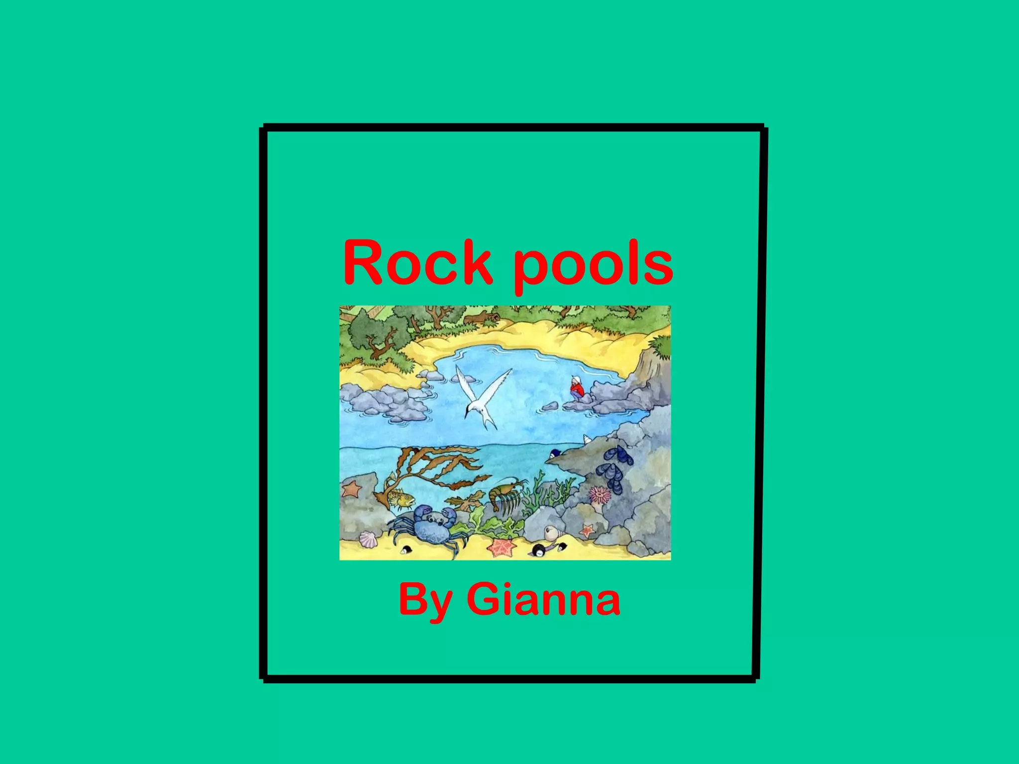 Rock pools | PPT