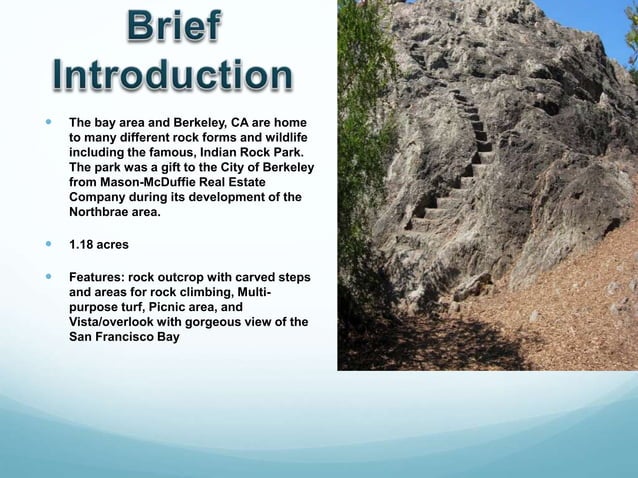 Historical Geology Presentation | PPTX | Geology | Science